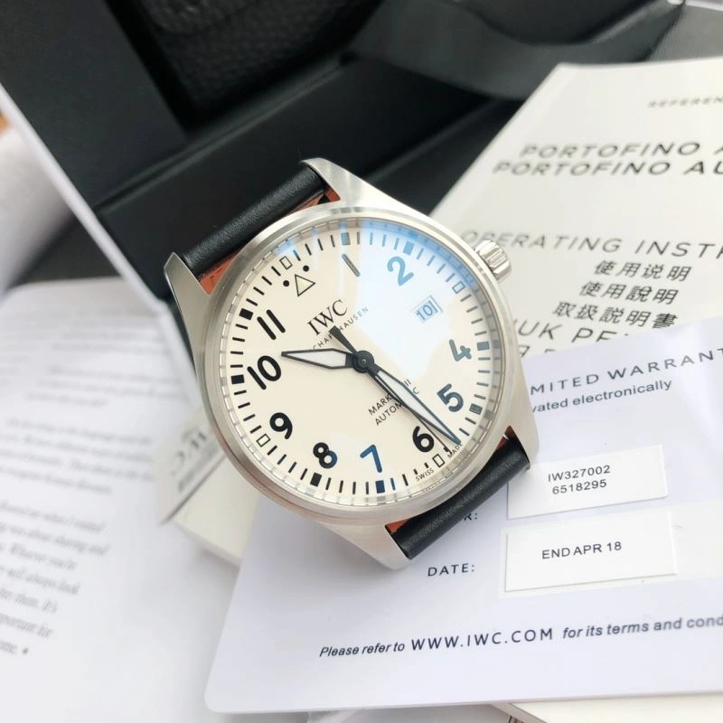 Economical IWC Watches