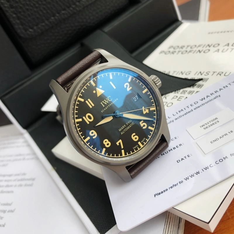 Brand-original IWC Watches