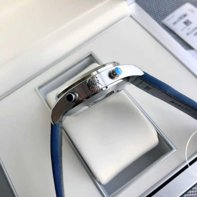 Discounted IWC Watches