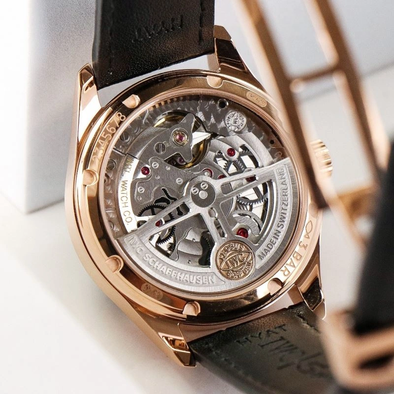 Cut-rate IWC Watches