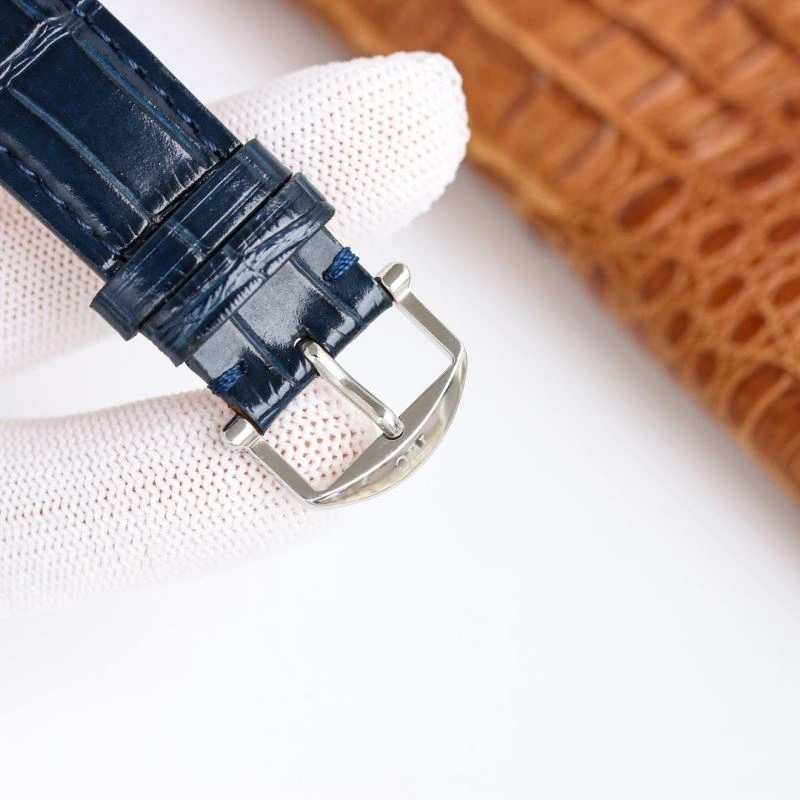 Discounted IWC Watches