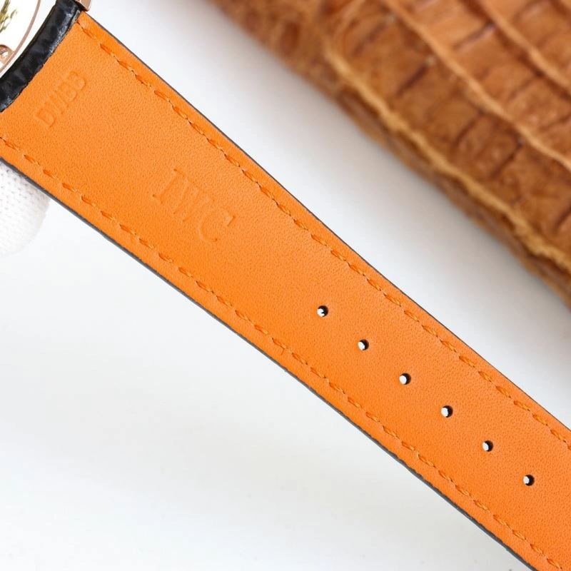 Indistinguishable IWC Watches