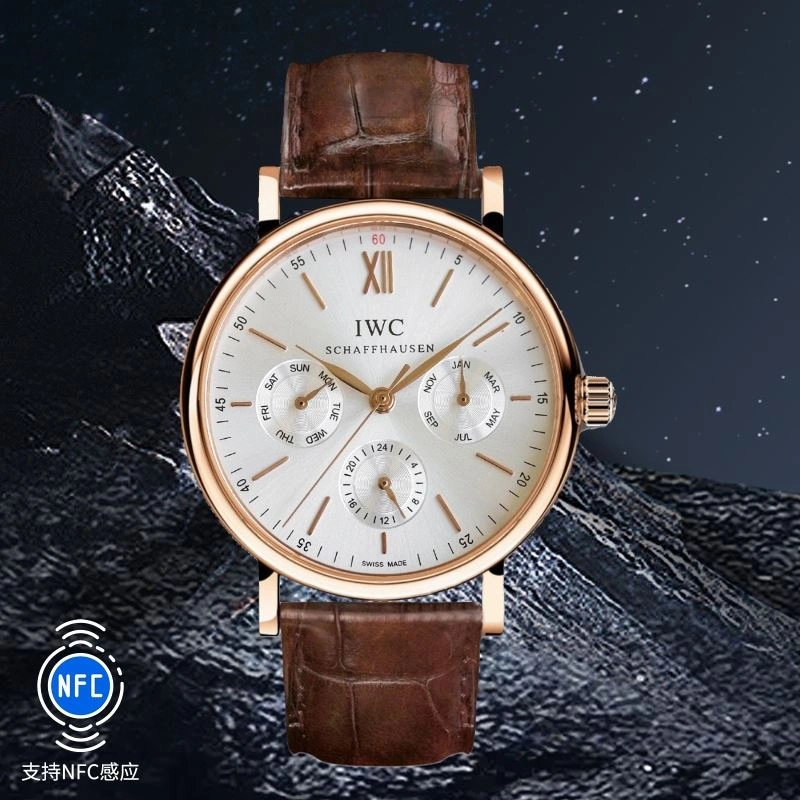 IWC Watches