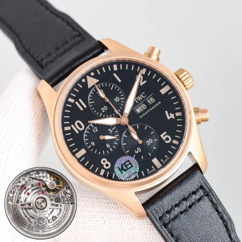 IWC Watches