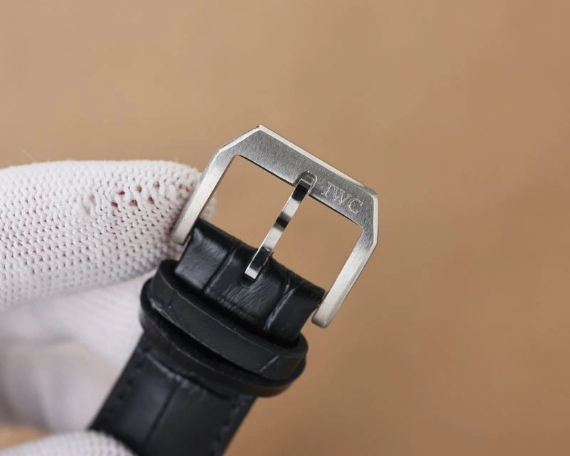 Discounted IWC Watches