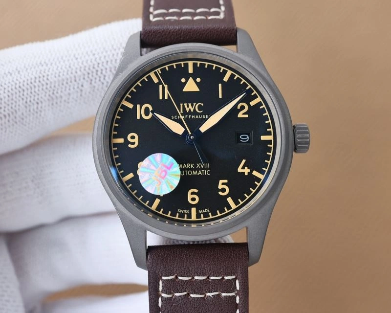 Economical IWC Watches