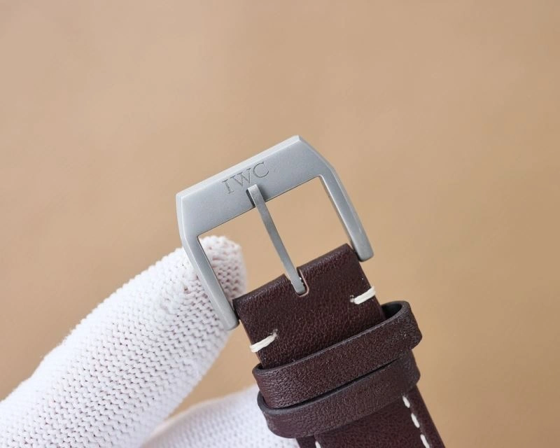 Economical IWC Watches