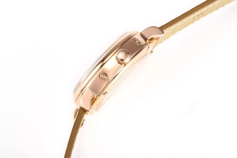 Indistinguishable IWC Watches