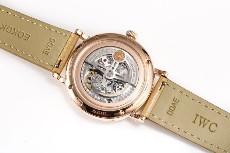 Indistinguishable IWC Watches