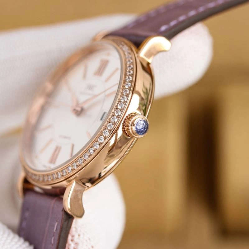 Discounted IWC Watches