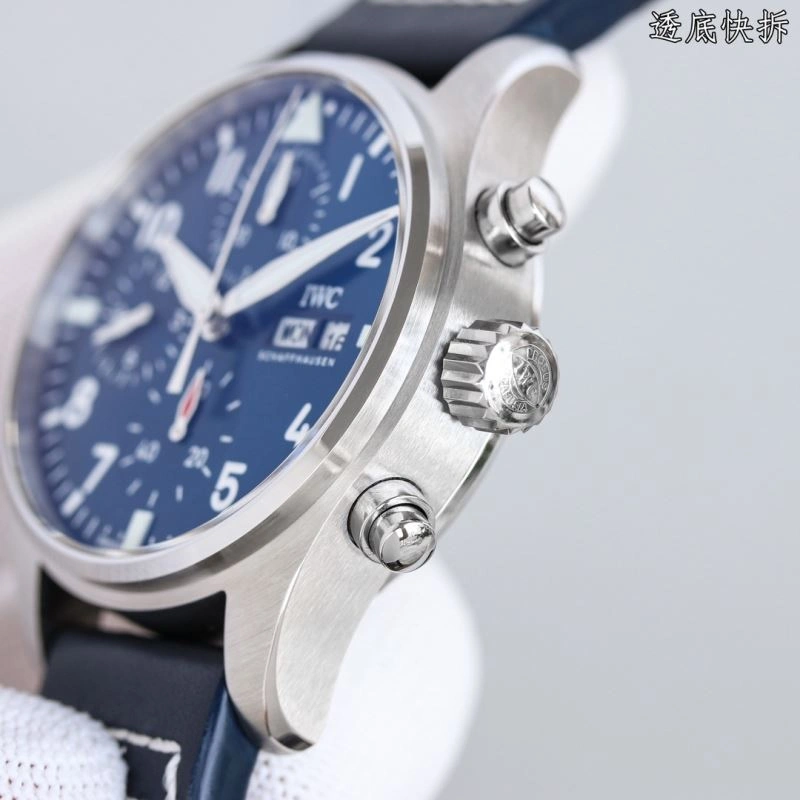 Discounted IWC Watches
