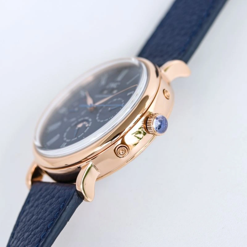 Economical IWC Watches