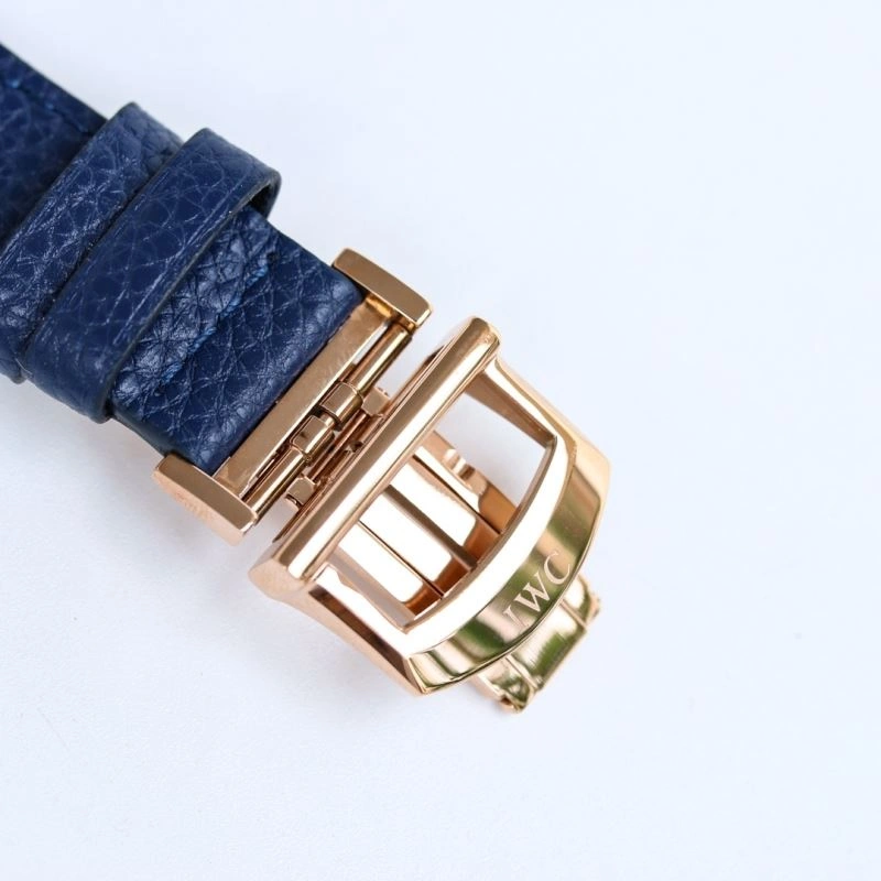 Economical IWC Watches