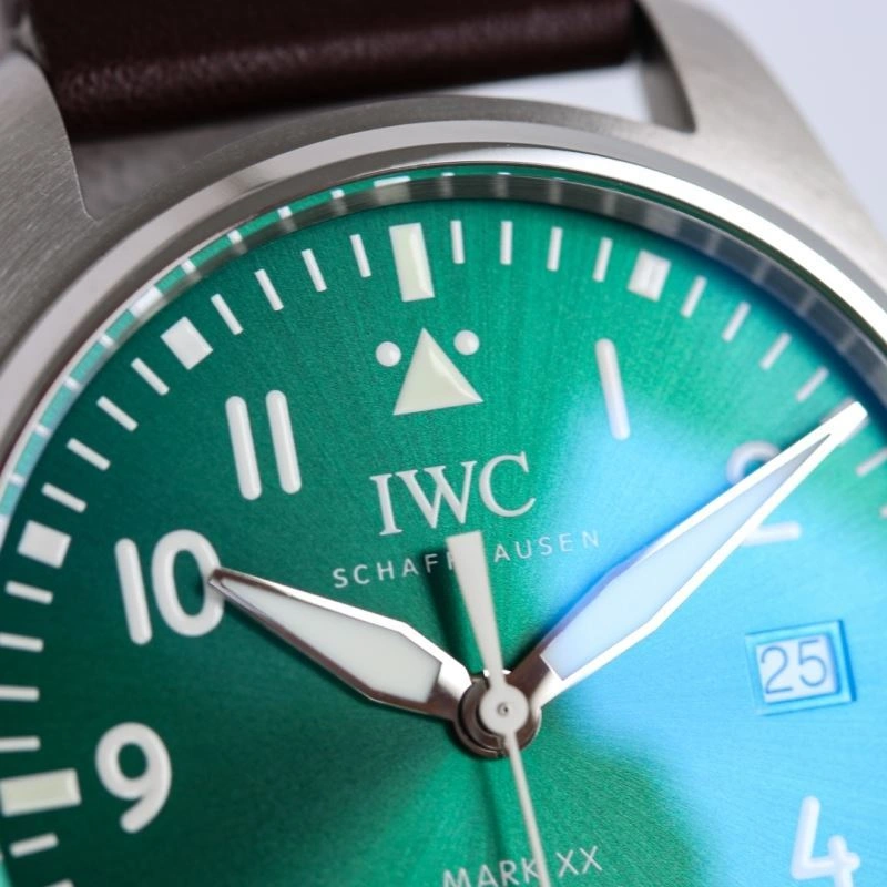 OEM IWC Watches