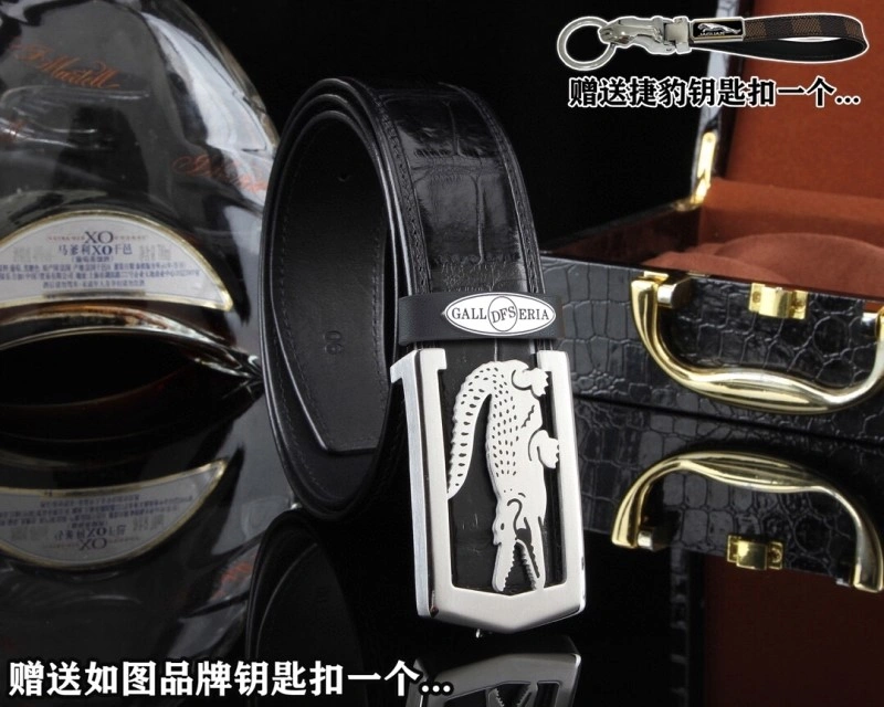 Indistinguishable Jaguar Belts
