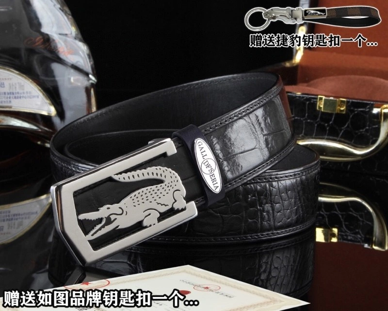 Indistinguishable Jaguar Belts