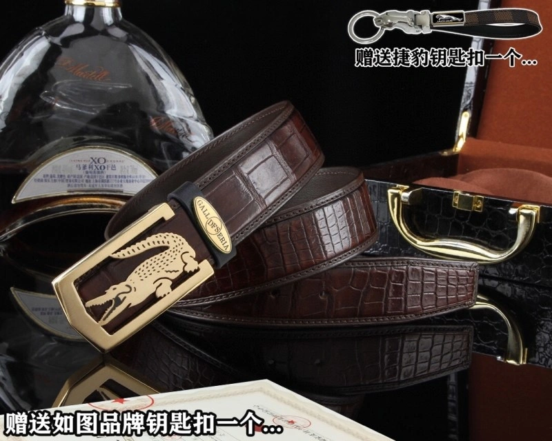 Indistinguishable Jaguar Belts