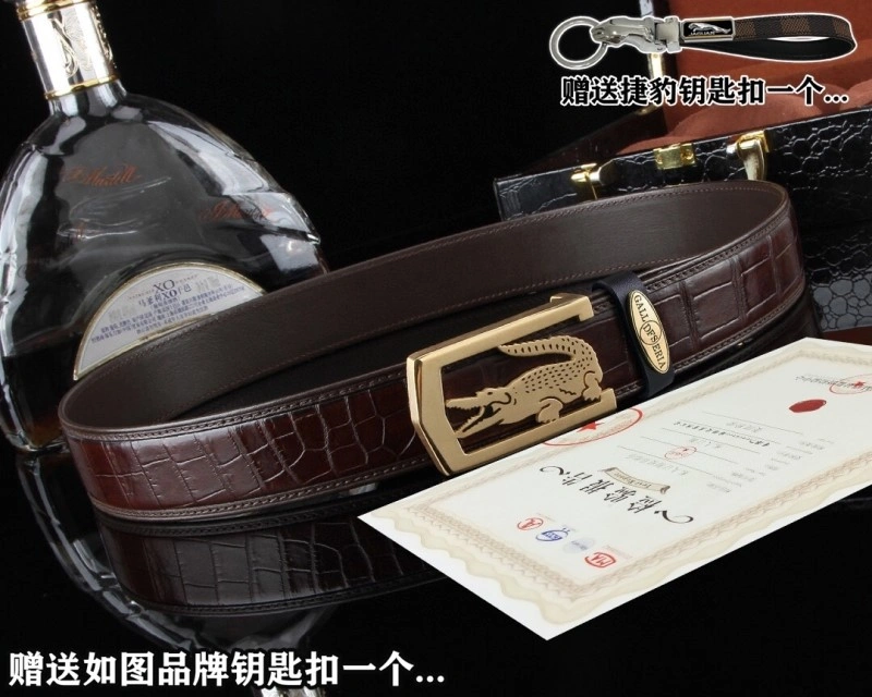 Indistinguishable Jaguar Belts