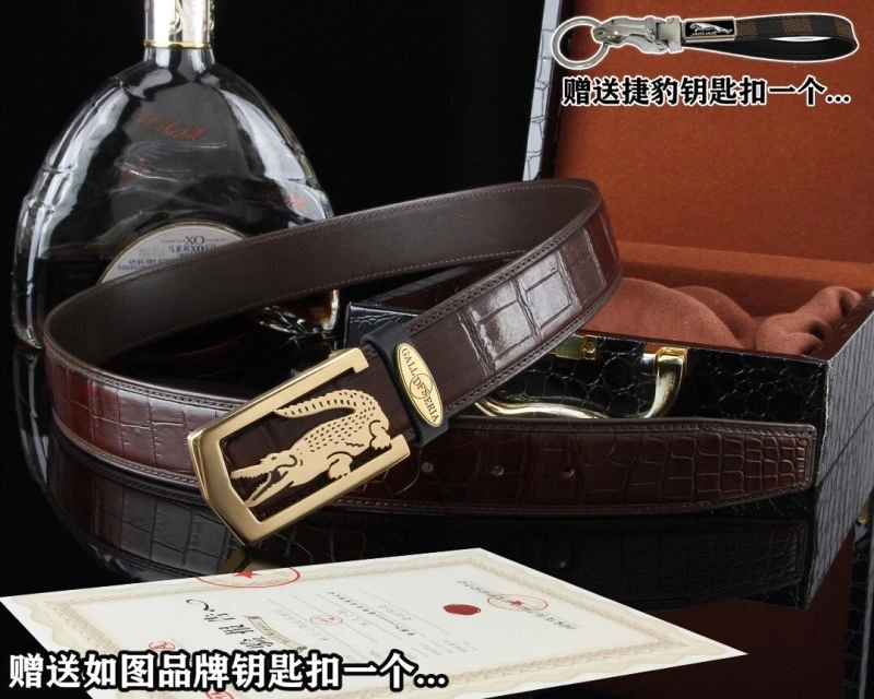 Indistinguishable Jaguar Belts