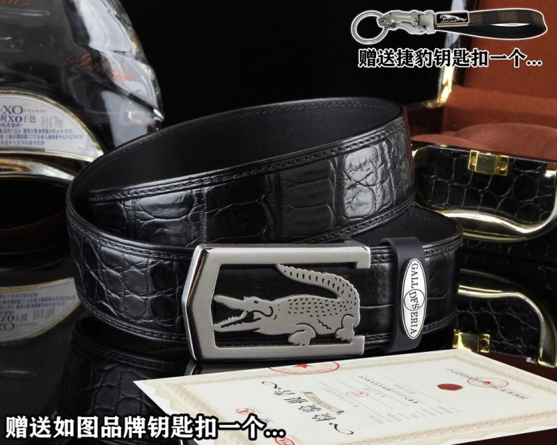 Indistinguishable Jaguar Belts
