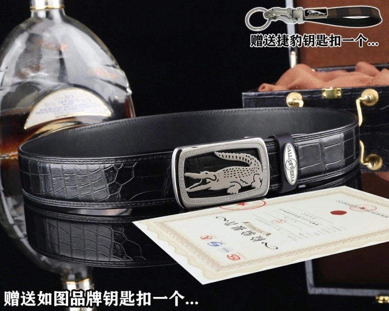 Budget-friendly Jaguar Belts