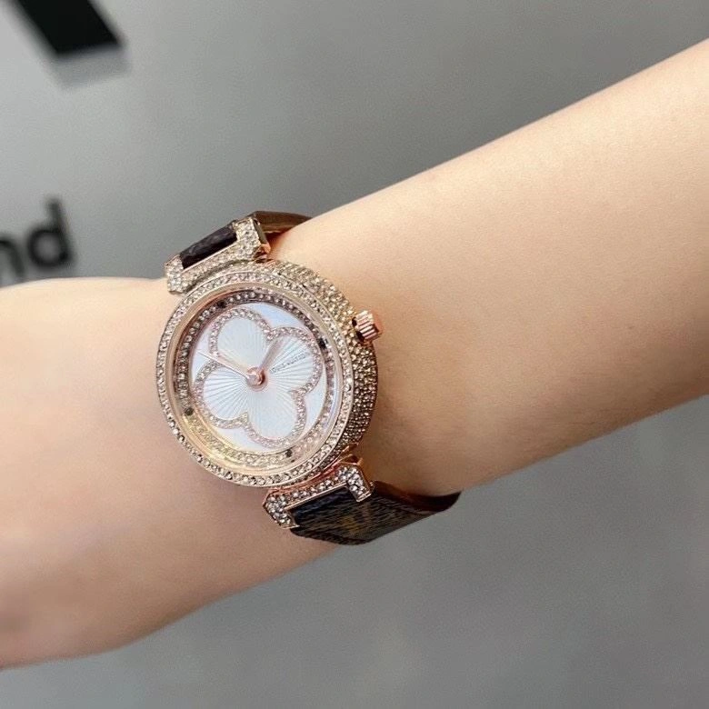 OEM LOUIS VUITTON Watches