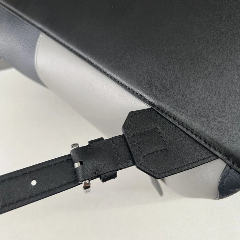 Reasonably priced Loewe Backpacks