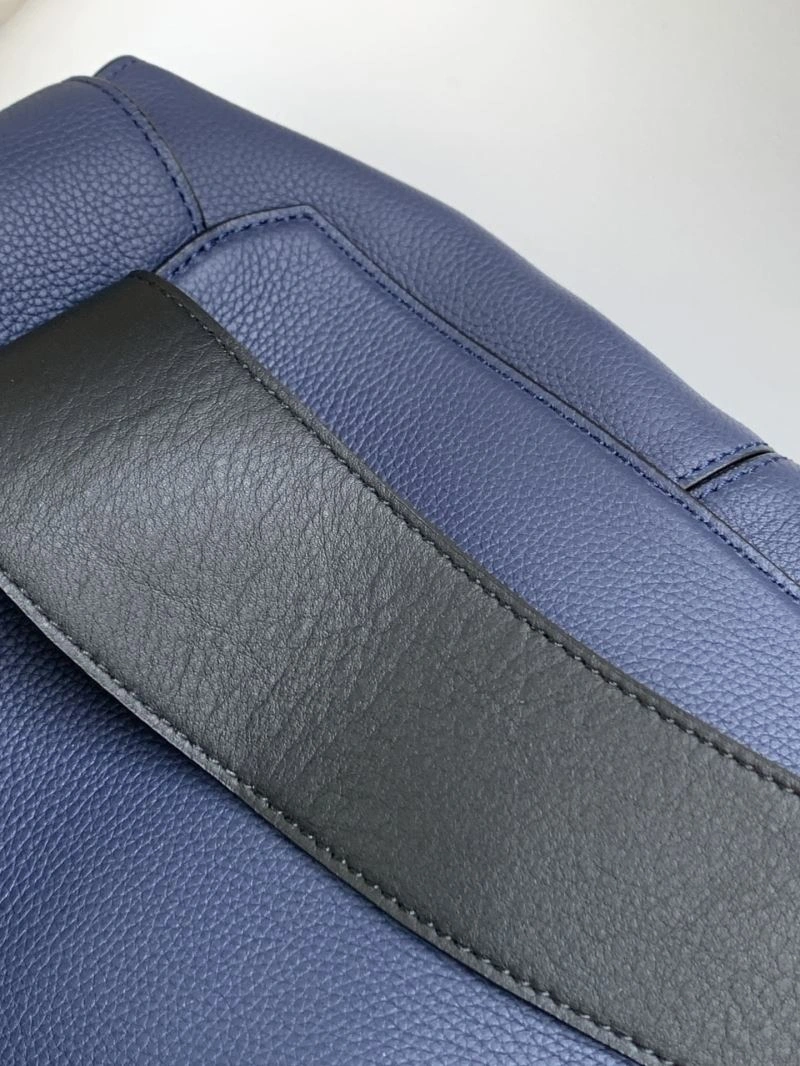 Low-cost Loewe Backpacks