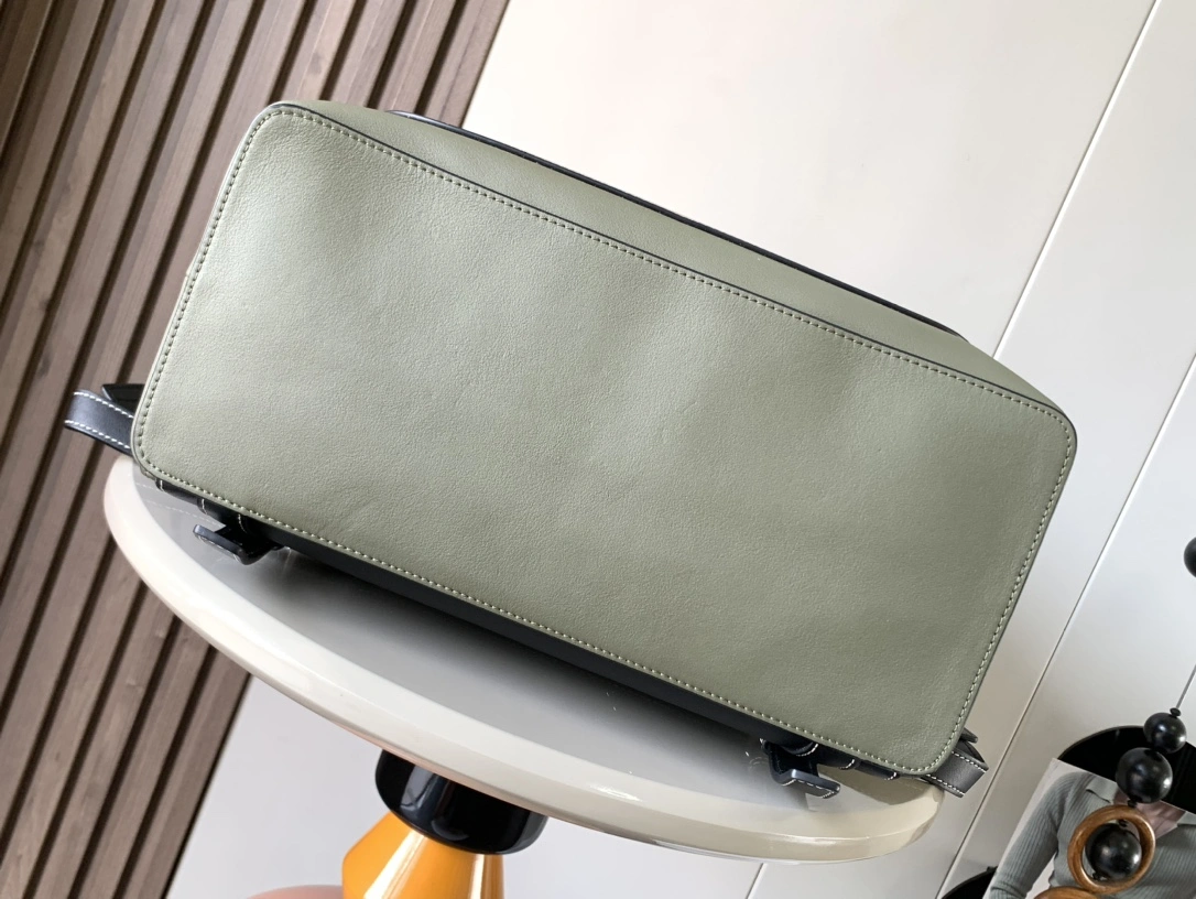 Accurate model Loewe Backpacks