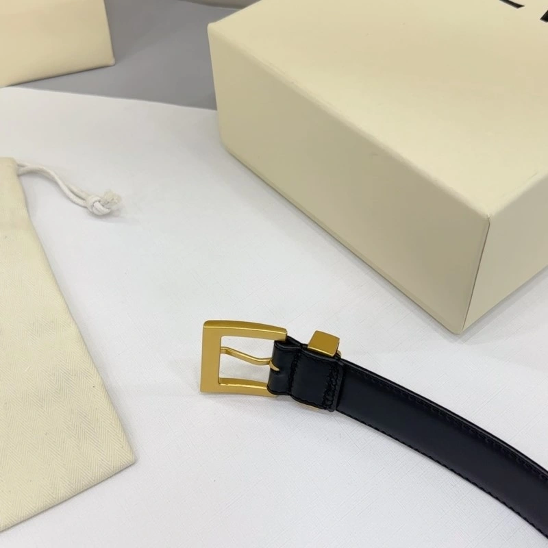 1:1 copy Loewe Belts