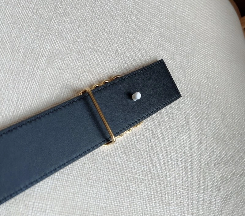 Cut-rate Loewe Belts