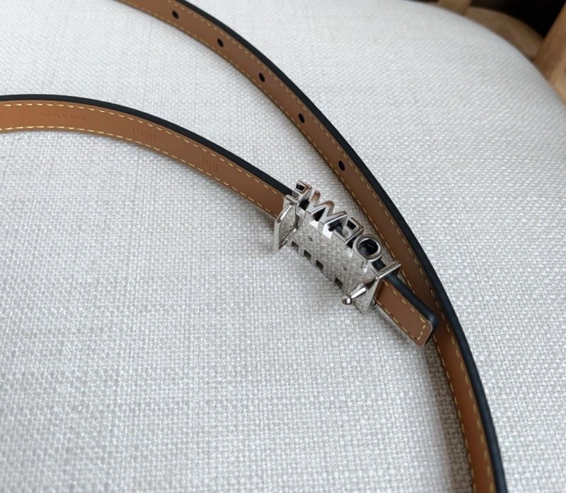 Reasonably priced Loewe Belts