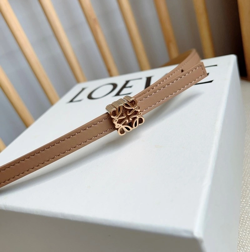 Discounted Loewe Belts