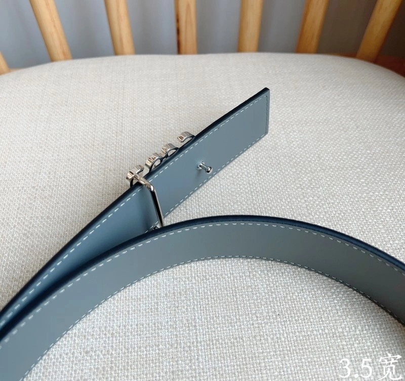 Precise copy Loewe Belts