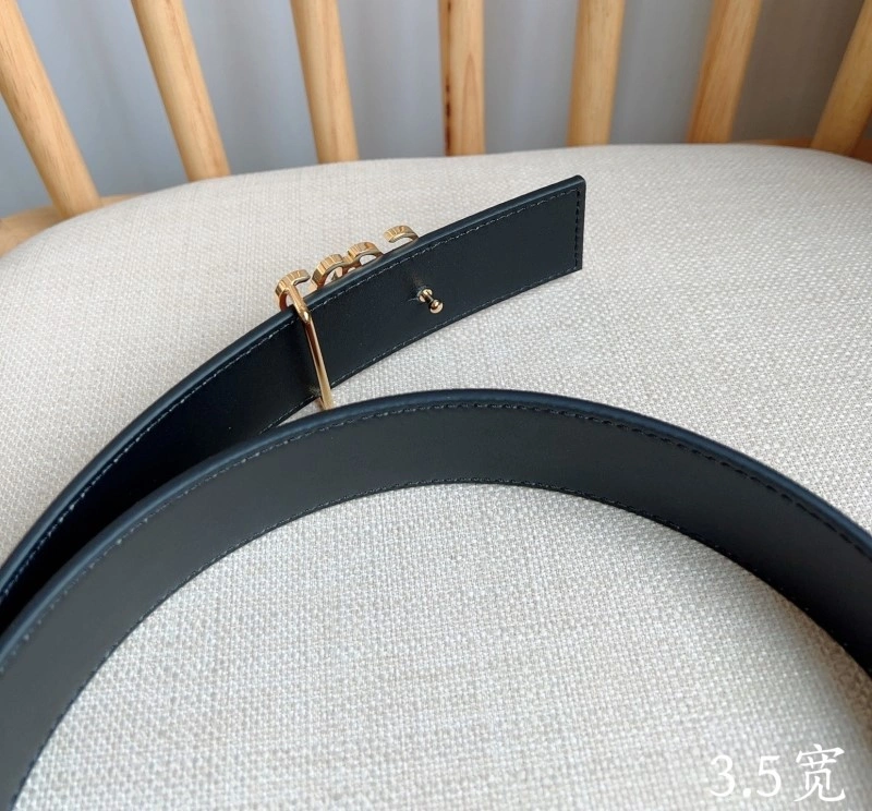 Precise copy Loewe Belts