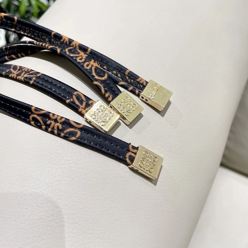 Budget-friendly Loewe Bikins