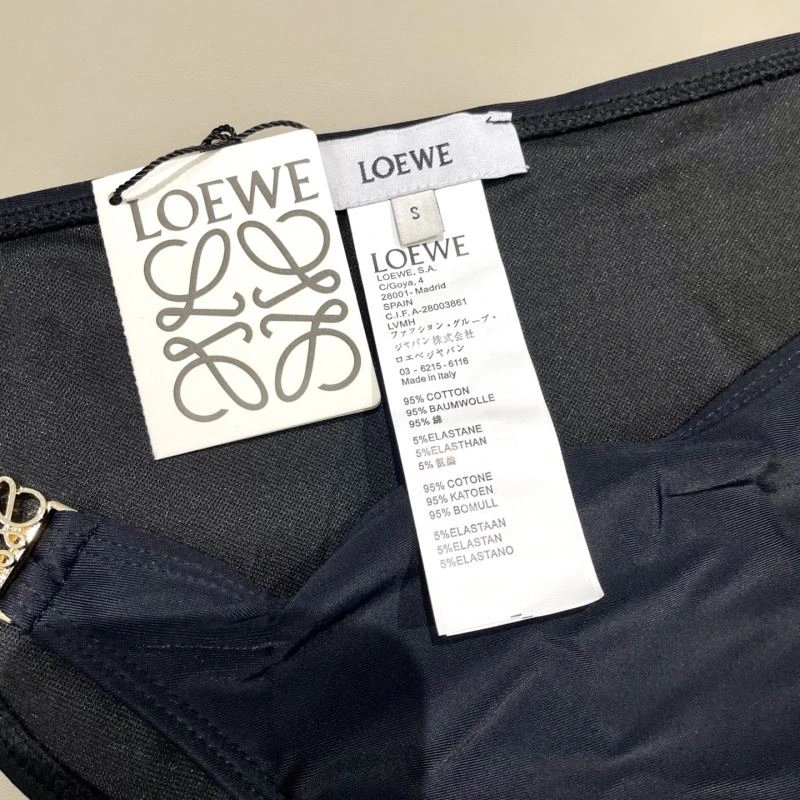 Precise copy Loewe Bikins