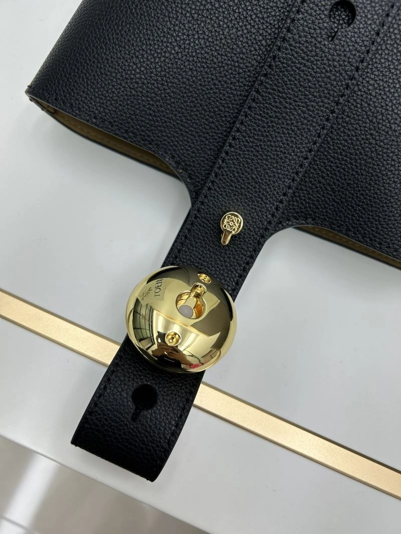 Legit Loewe Bucket Bags