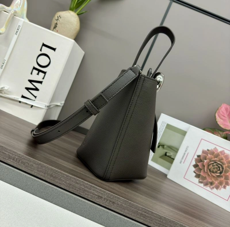 Budget-friendly Loewe Bucket Bags