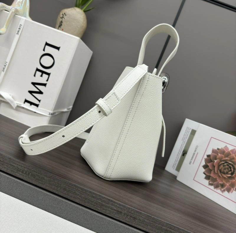 Indistinguishable Loewe Bucket Bags