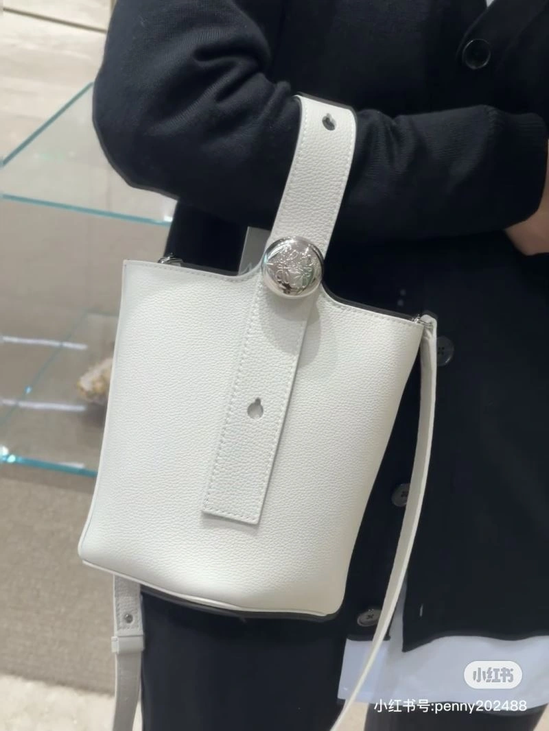 Indistinguishable Loewe Bucket Bags