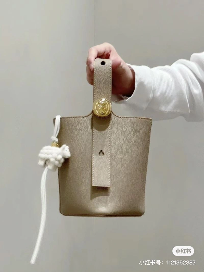 High accuracy Loewe Bucket Bags