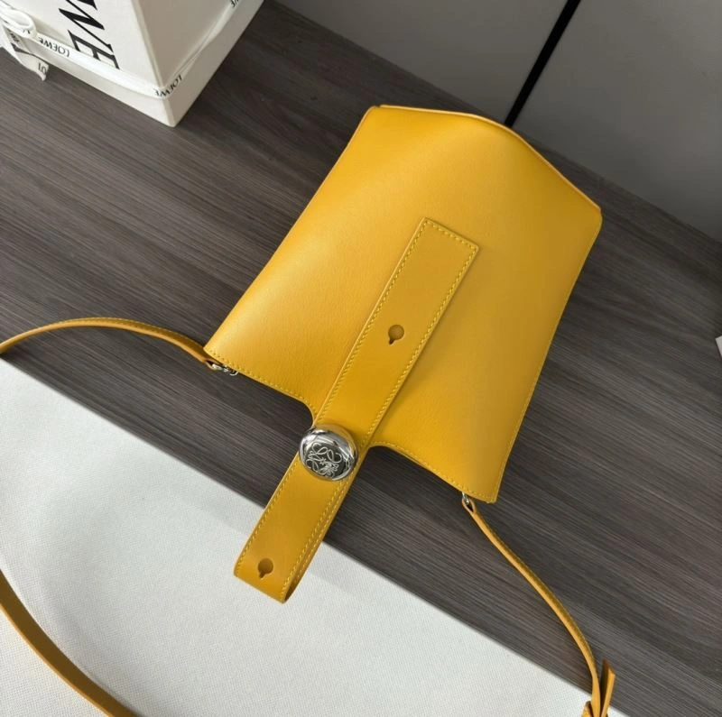 Legit Loewe Bucket Bags