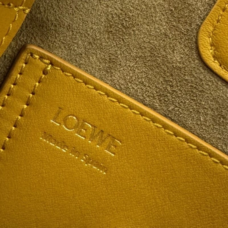 Legit Loewe Bucket Bags