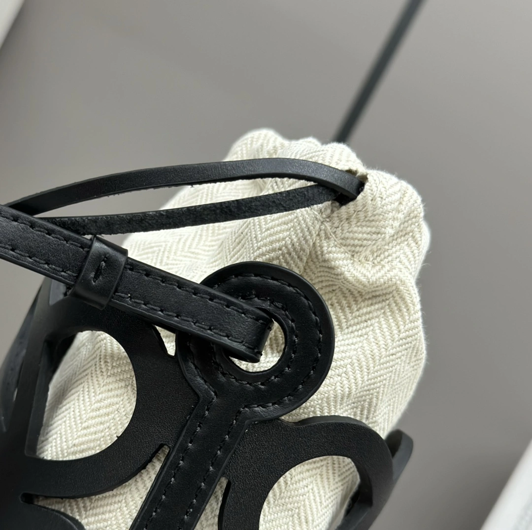 Budget-friendly Loewe Bucket Bags