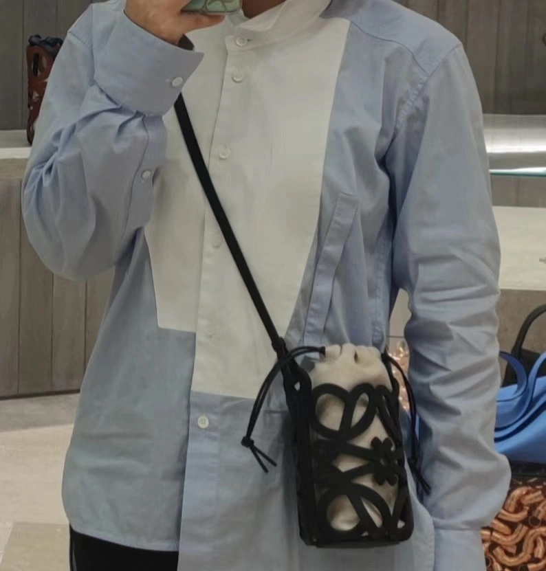 Budget-friendly Loewe Bucket Bags