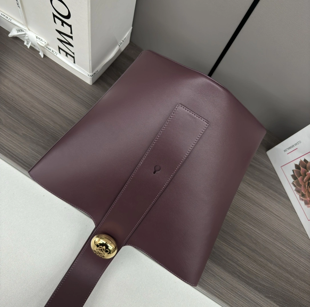 Legit Loewe Bucket Bags