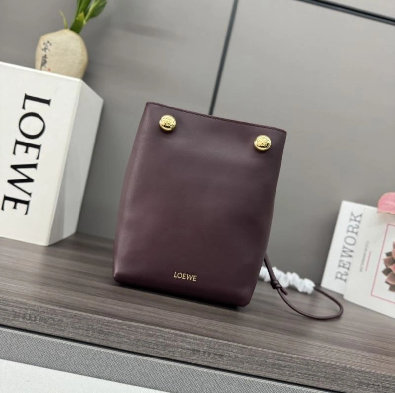 Loewe Bucket Bags