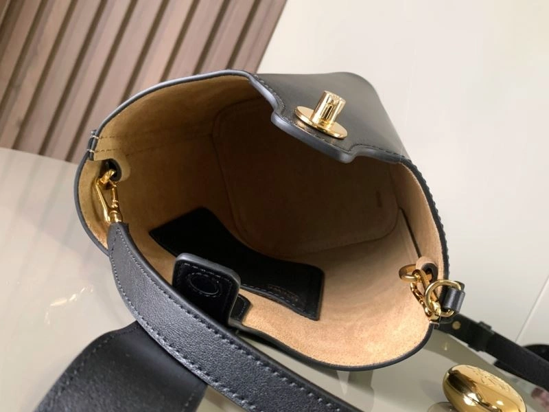 Budget-friendly Loewe Bucket Bags