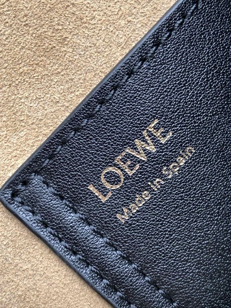 Budget-friendly Loewe Bucket Bags